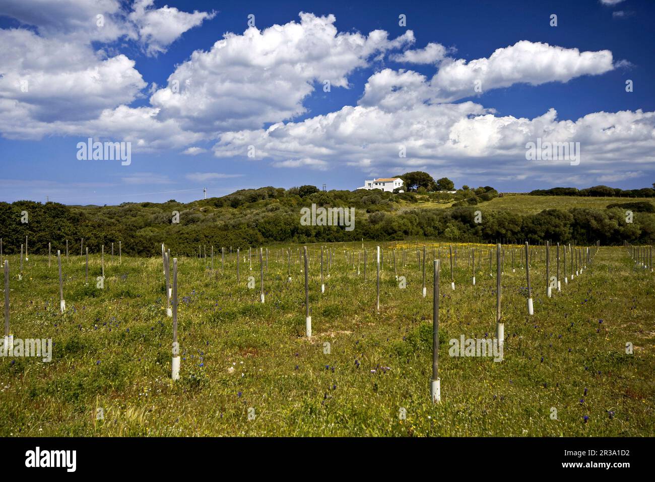 Cudia hi-res stock photography and images - Alamy