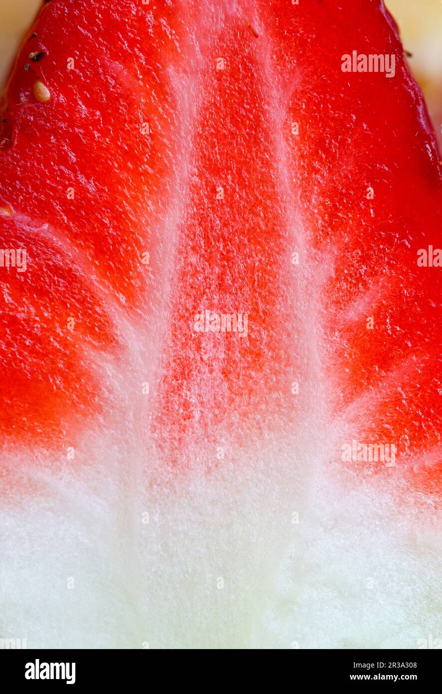 Cross section of strawberry Stock Photo - Alamy