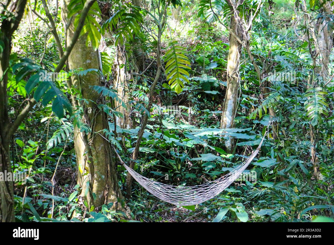 Hidden earth hi-res stock photography and images - Alamy