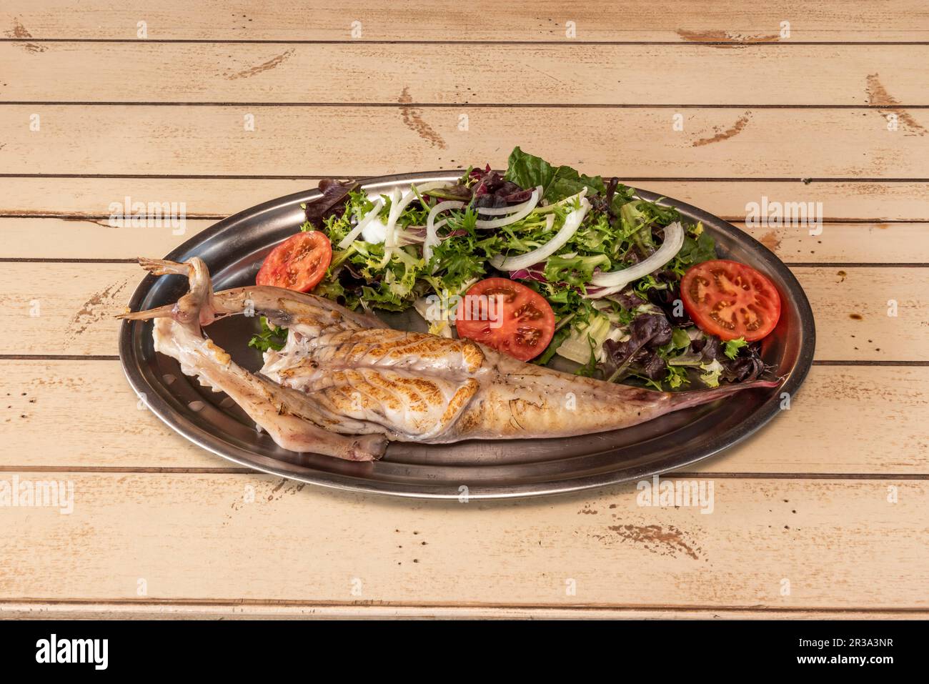 The common anglerfish or white anglerfish is a species of lofiform fish ...