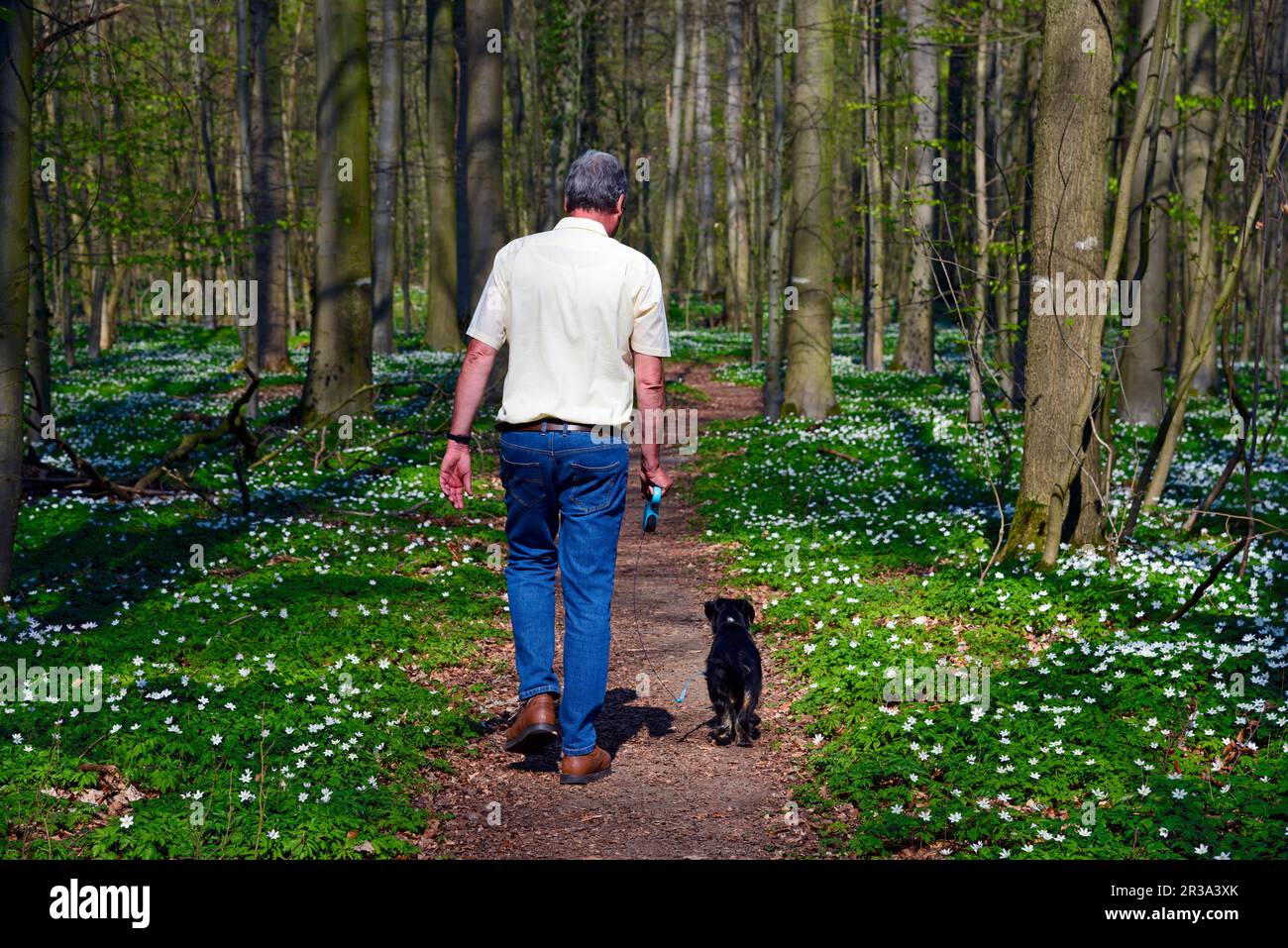 Lahwald hi-res stock photography and images - Alamy