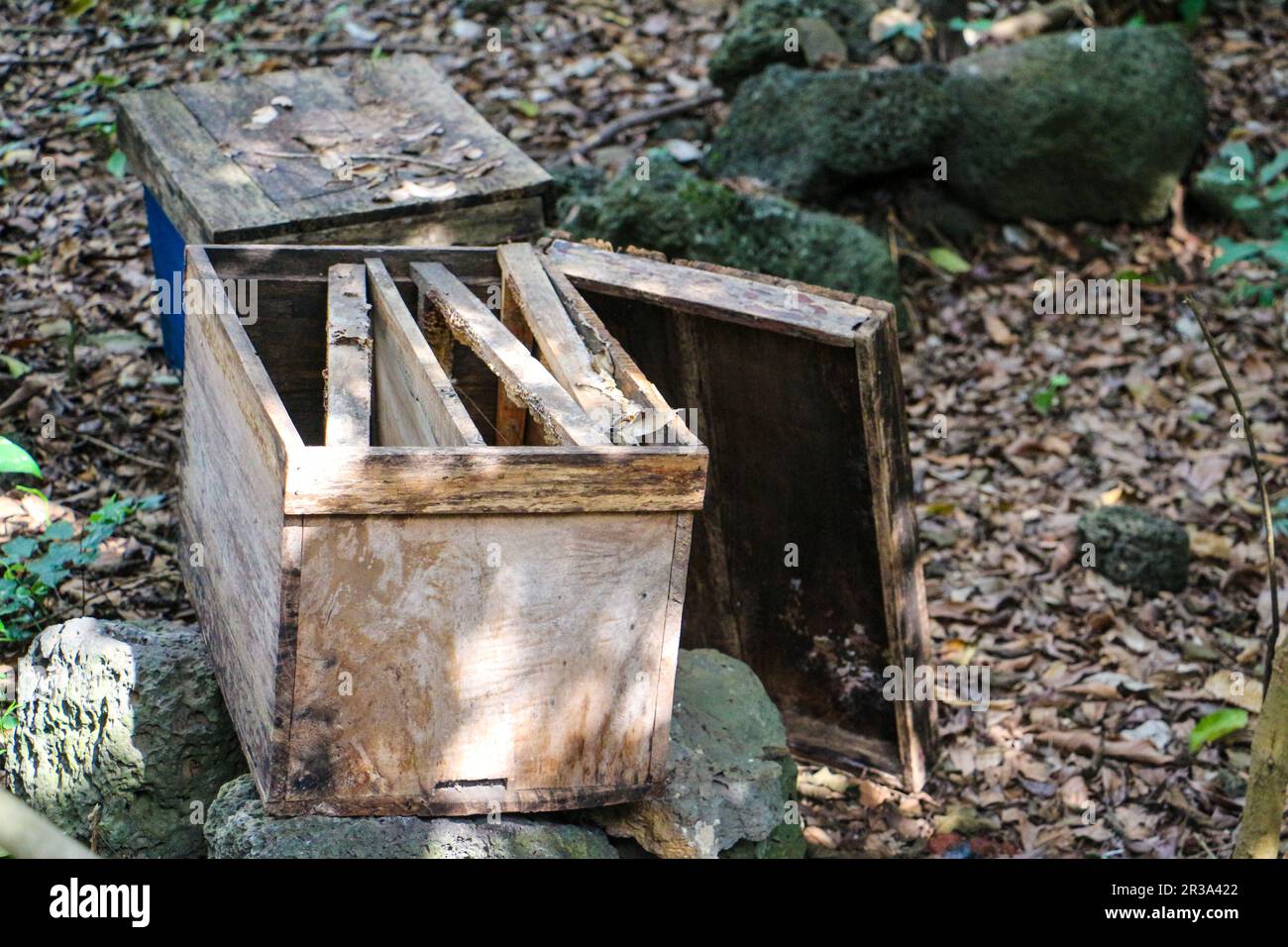 Magazine hive hi-res stock photography and images - Alamy