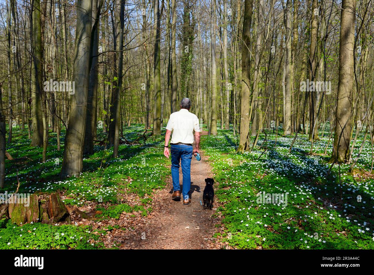 Constraint hi-res stock photography and images - Alamy