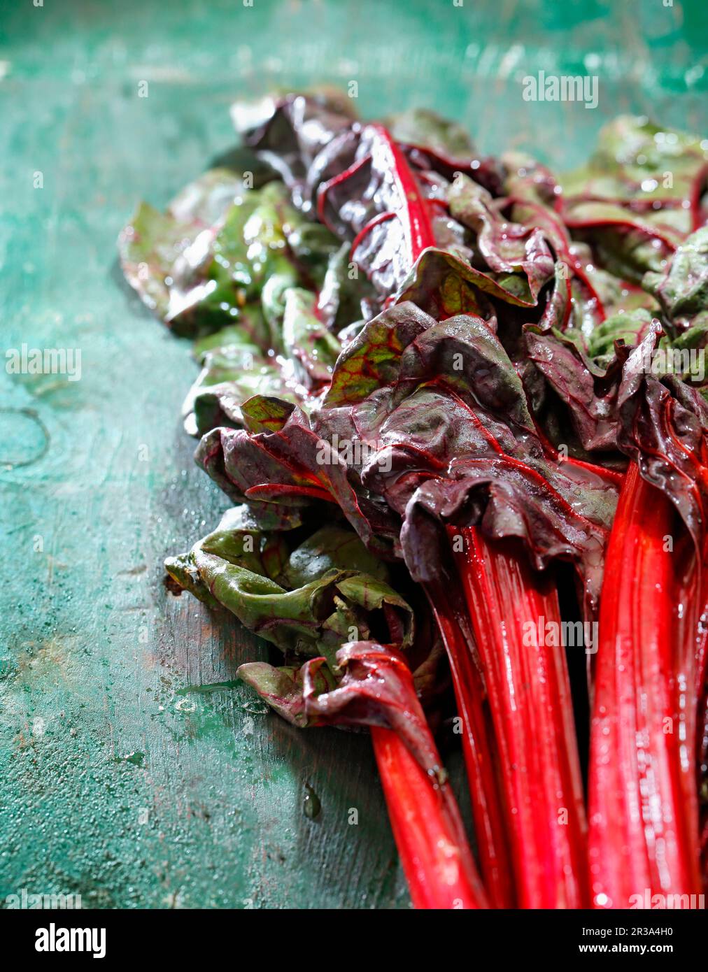 Chard colours hi-res stock photography and images - Alamy