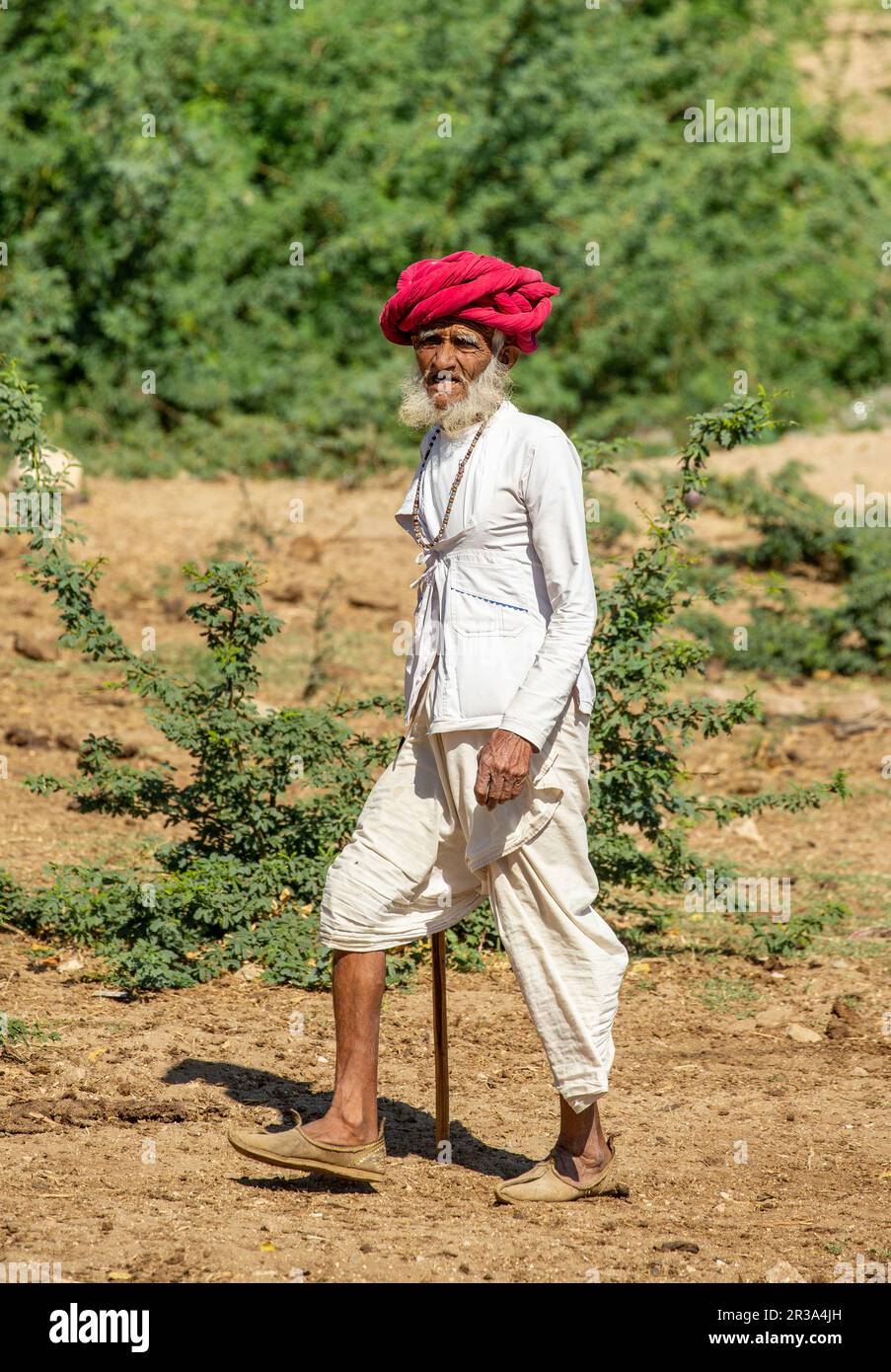 Nomad wearing turban hi-res stock photography and images - Alamy