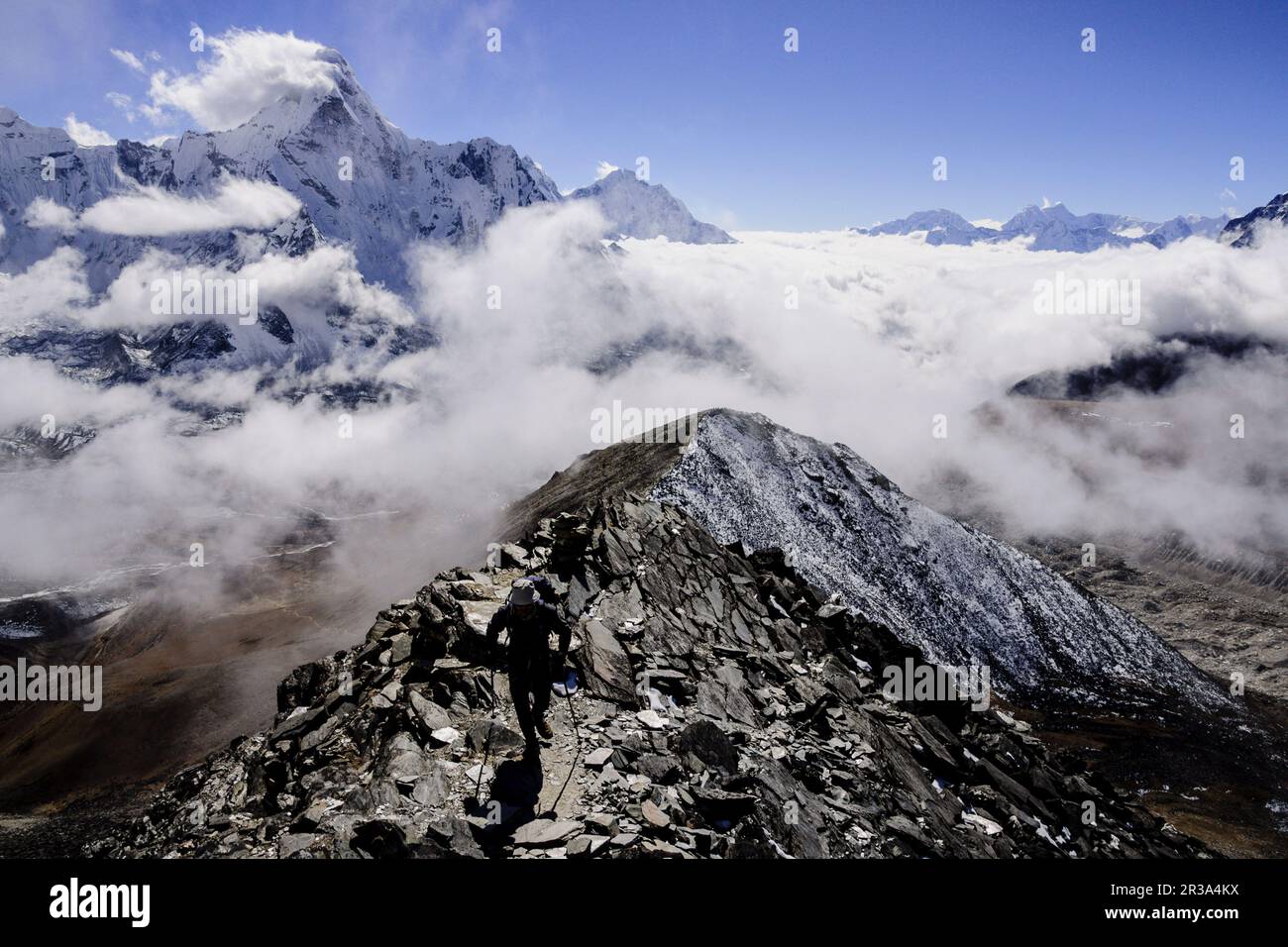 Cresta del sur hi-res stock photography and images - Alamy