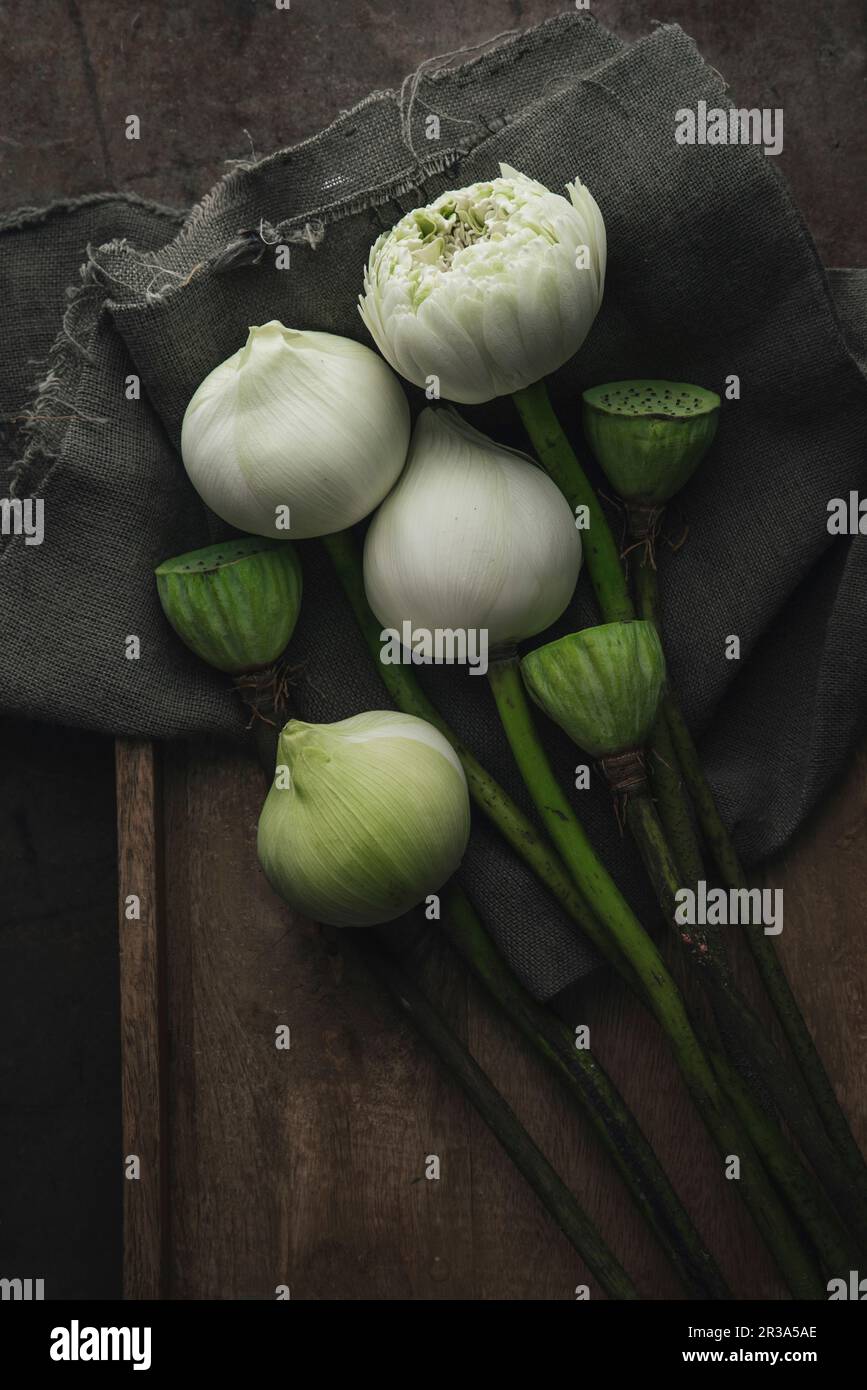 Overhead lotus hi-res stock photography and images - Alamy