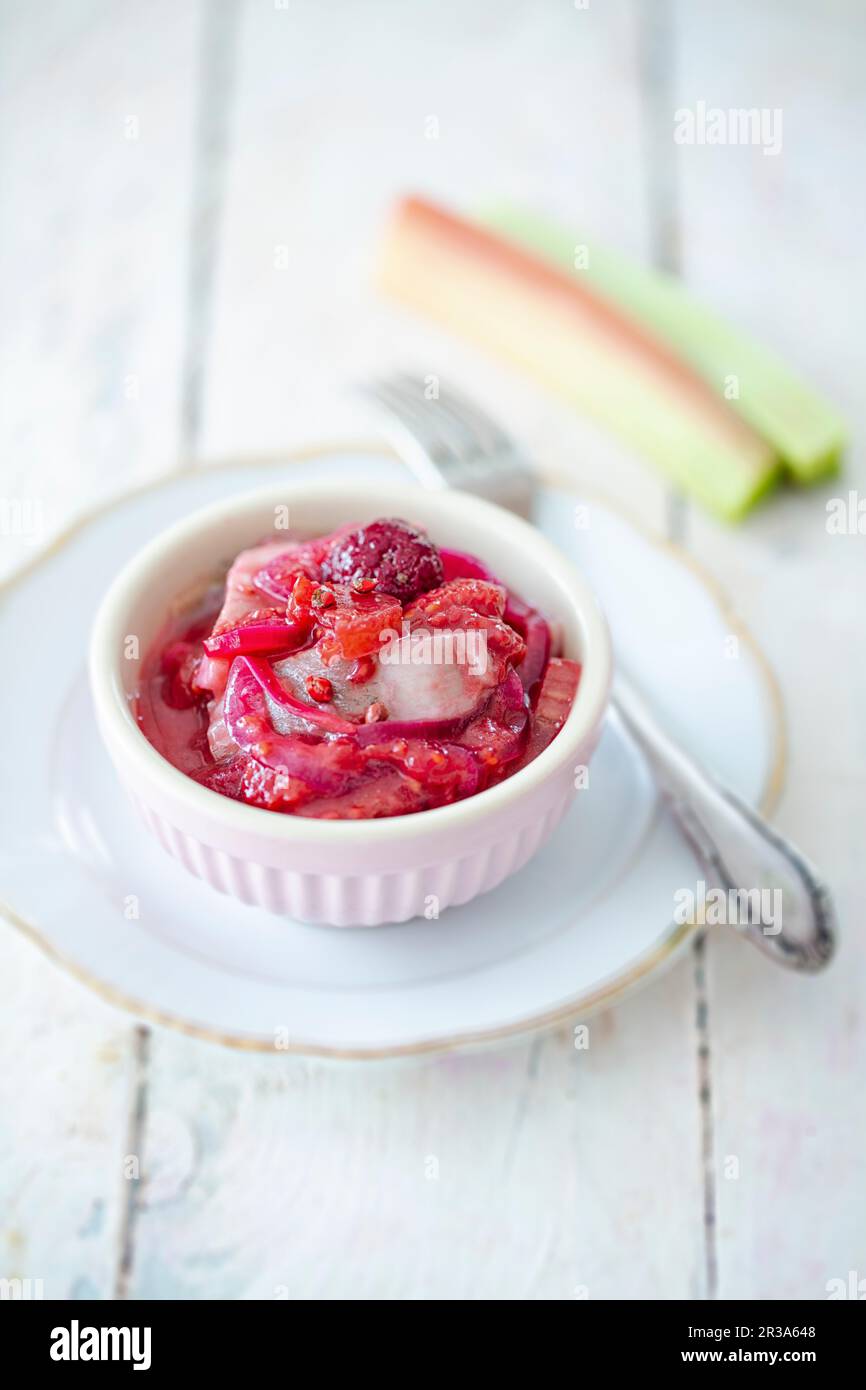 Soused herring salad with rhubarb, raspberries and red onions Stock ...