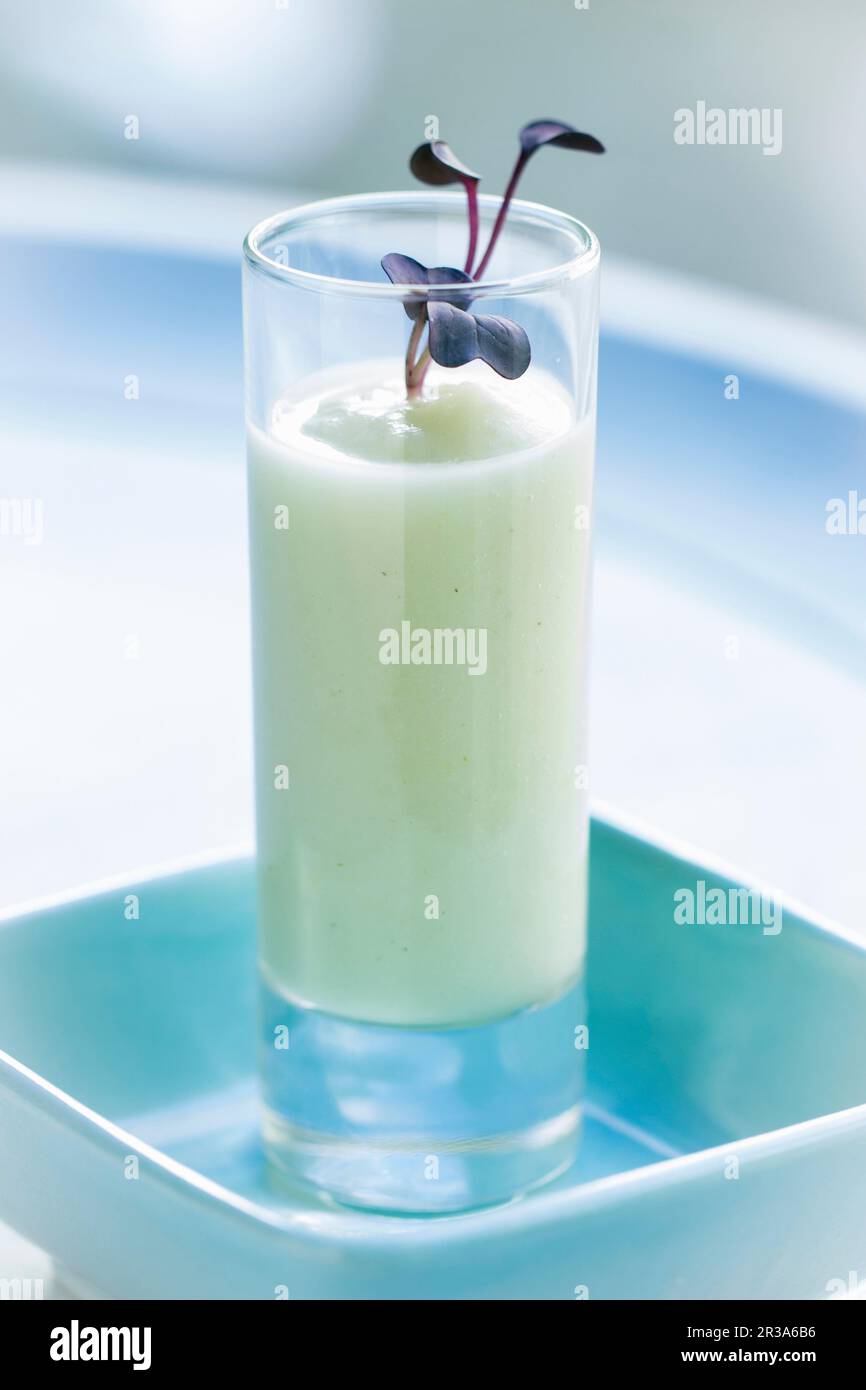 Fennel cream soup with purple cress in a glass against a light blue ...
