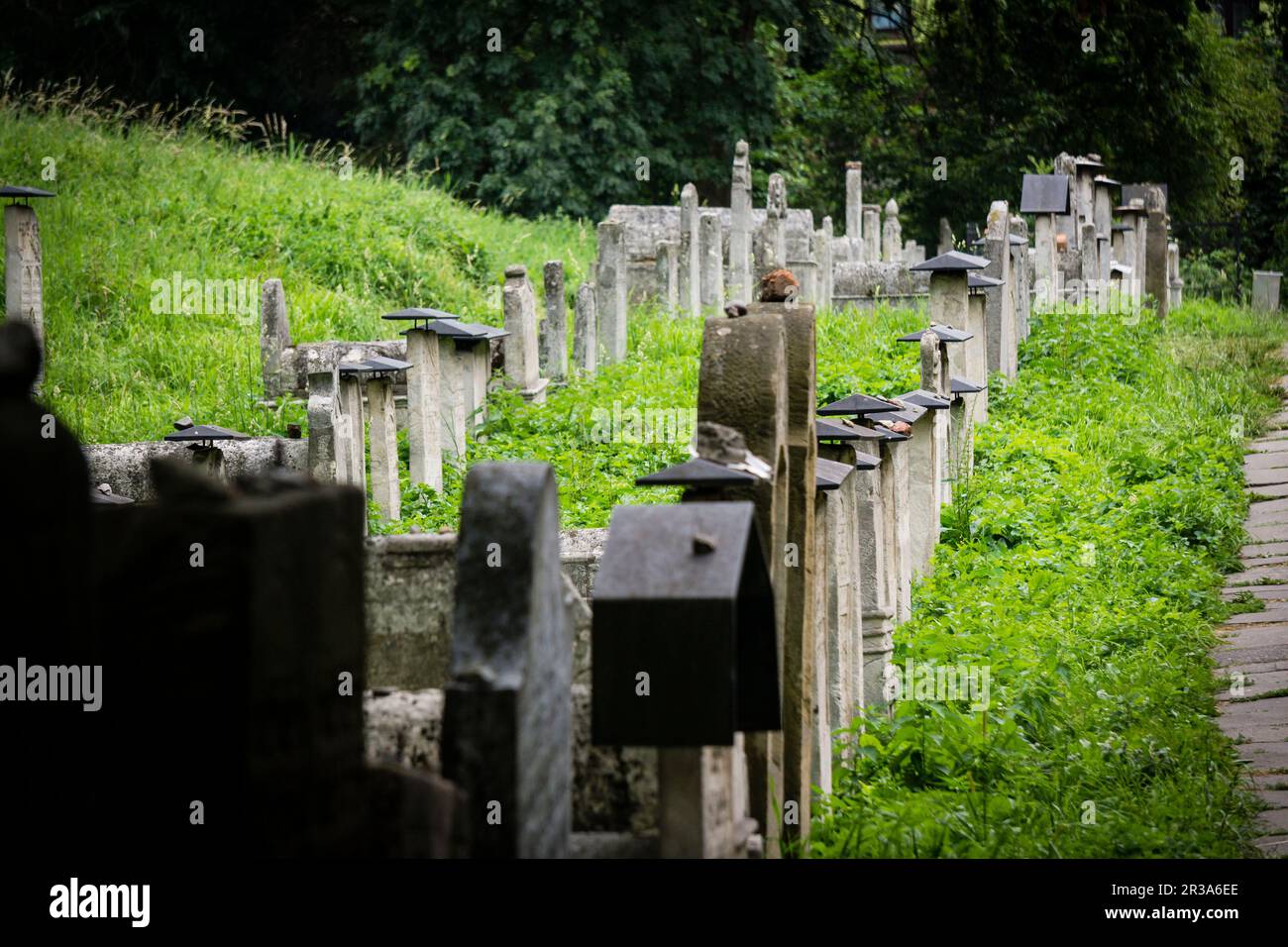 Remuh cemetery, 16th century, medieval core of Kazimierz, historic ...