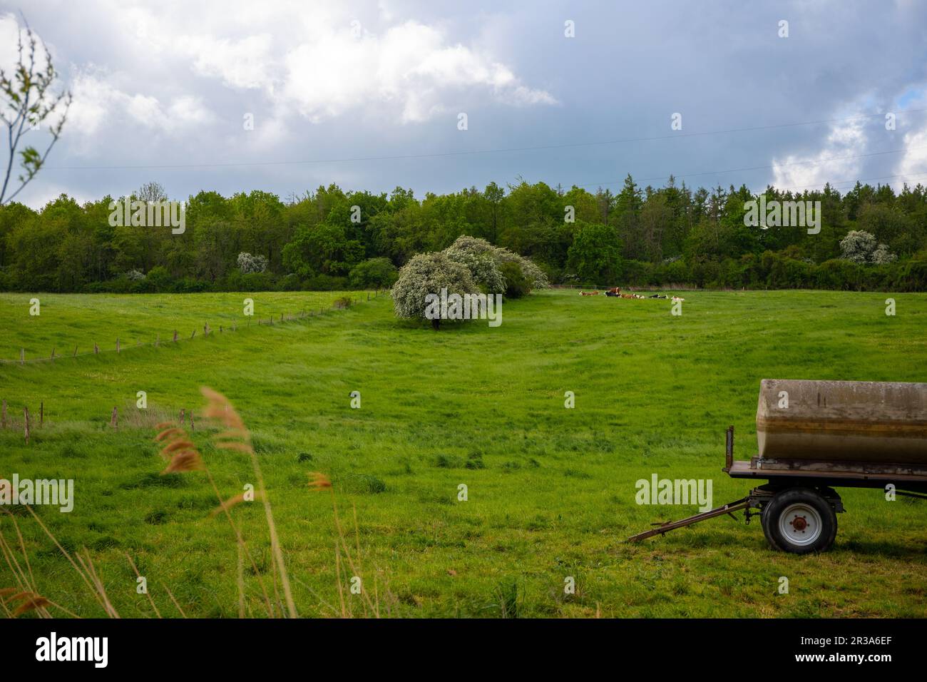 Water tank on an animal pasture Stock Photo - Alamy