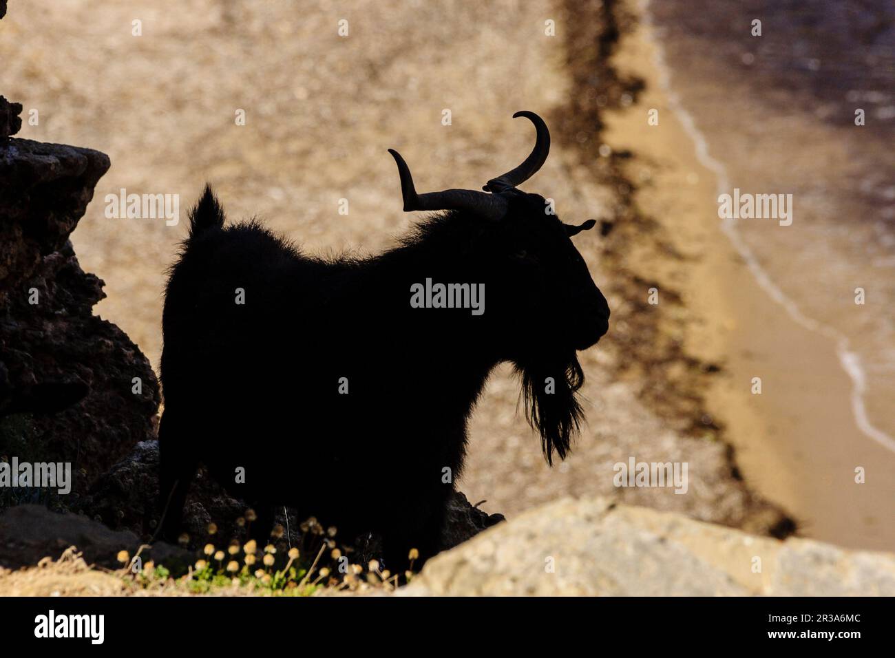 Playa sol viaje turistico hi-res stock photography and images - Alamy