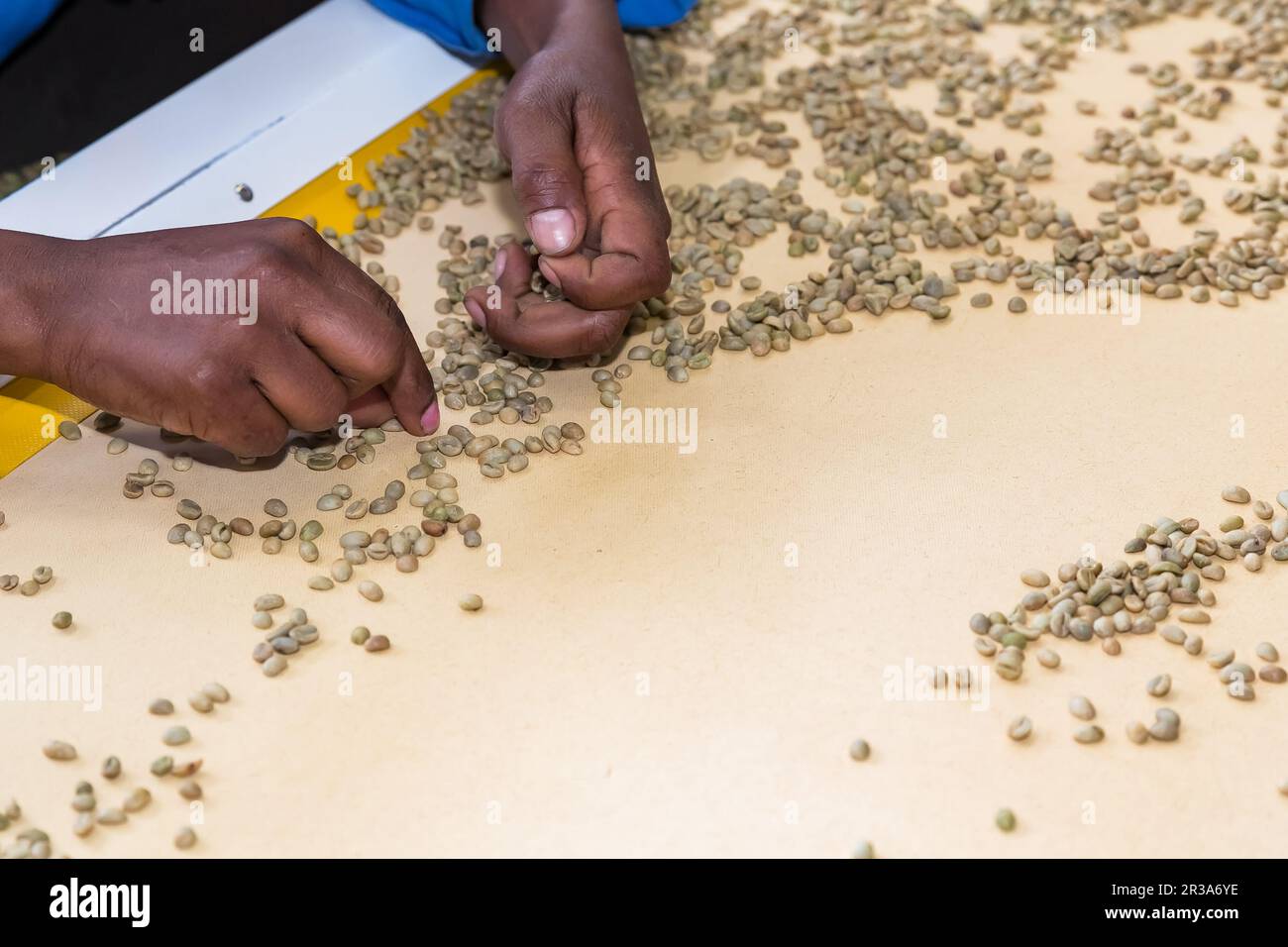 Coffee processing machine hi-res stock photography and images - Alamy