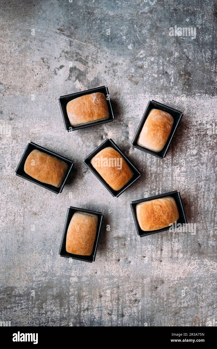 Mini white bread loaves in tins Stock Photo - Alamy