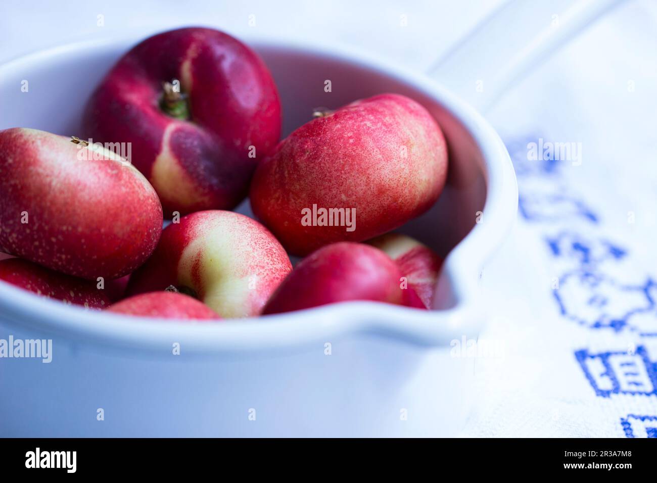 Freshly harvested nectarines in a white container Stock Photo - Alamy