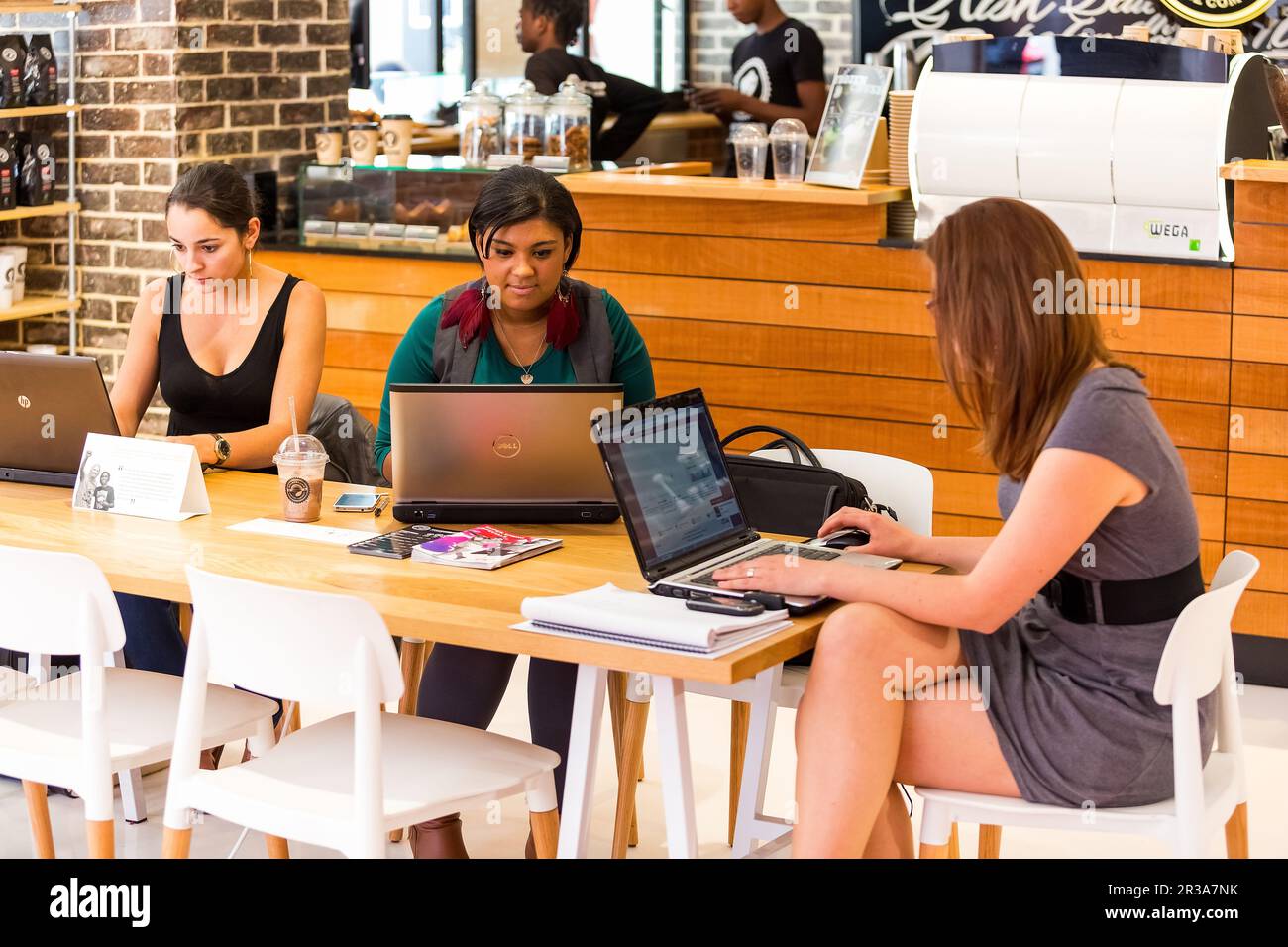 Diverse Female Customers using Internet in a Coffee Shop Stock Photo ...