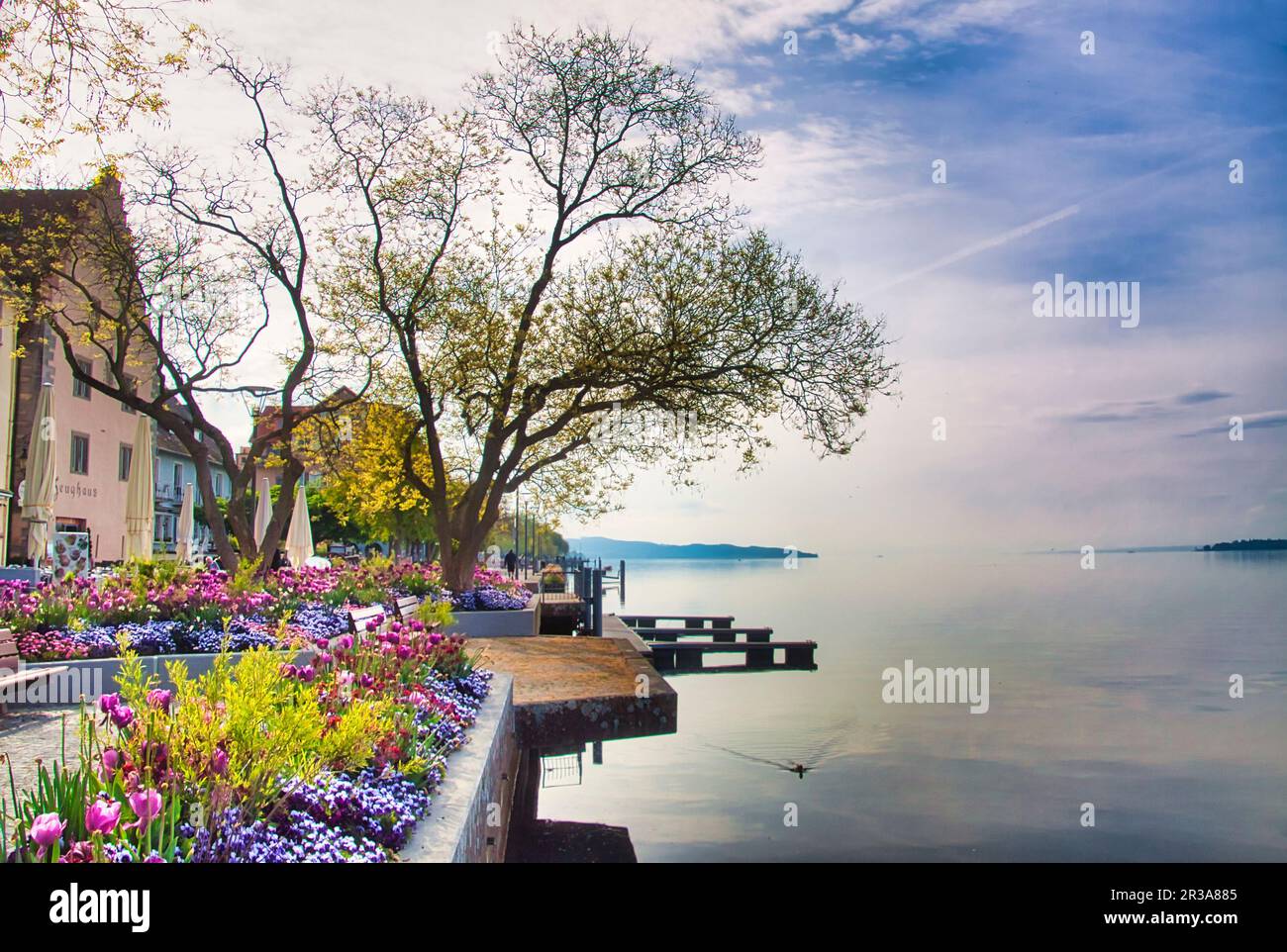 Lake Constance in spring Stock Photo - Alamy