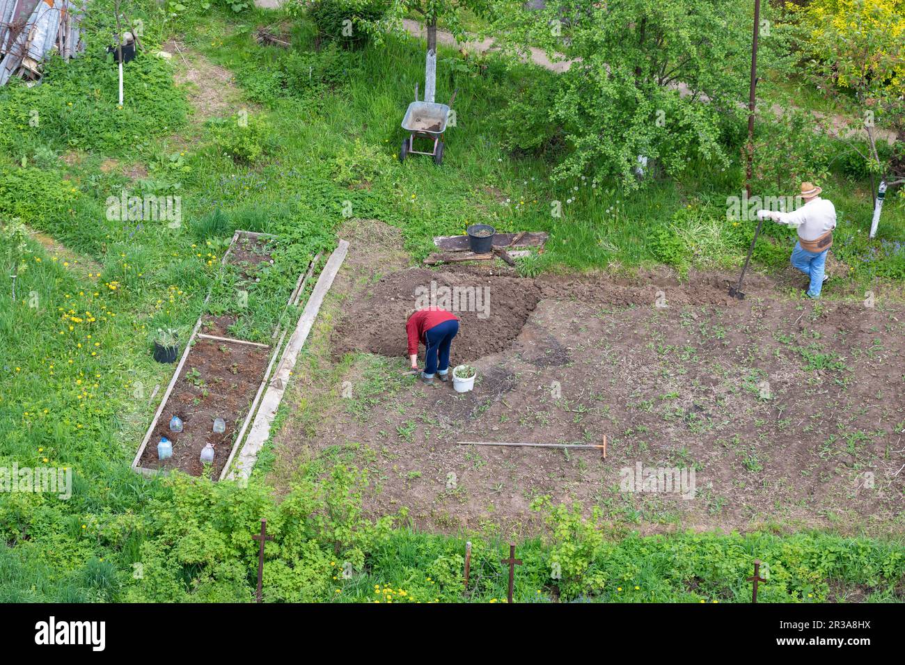 An adult couple is digging up their plot of land in the country for ...
