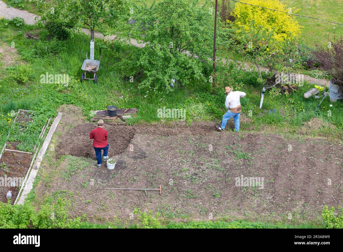 An adult couple is digging up their plot of land in the country for ...
