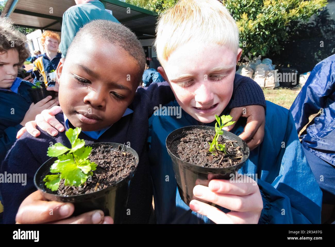 School children learning about agriculture and farming Stock Photo - Alamy