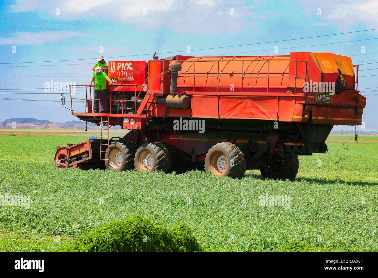 Commercial Pea Farming with a Combine Harvester Stock Photo - Alamy