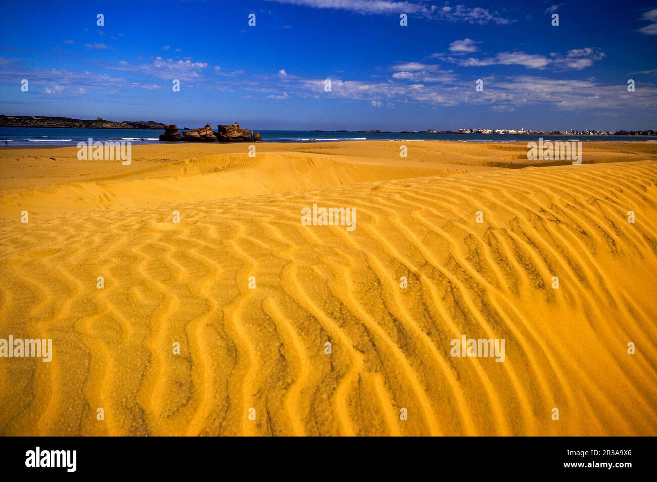 Essaouira beach (mogador). Atlantic coast. Morocco. Maghreb. Africa ...