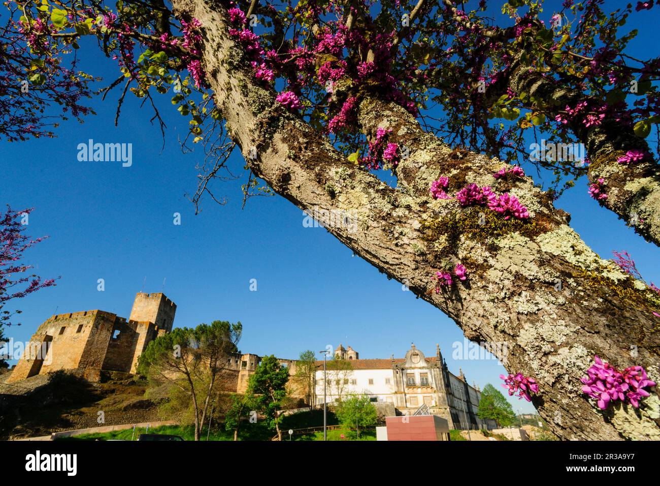 castillo templario de Tomar,año 1162, monumento nacional,Tomar ...