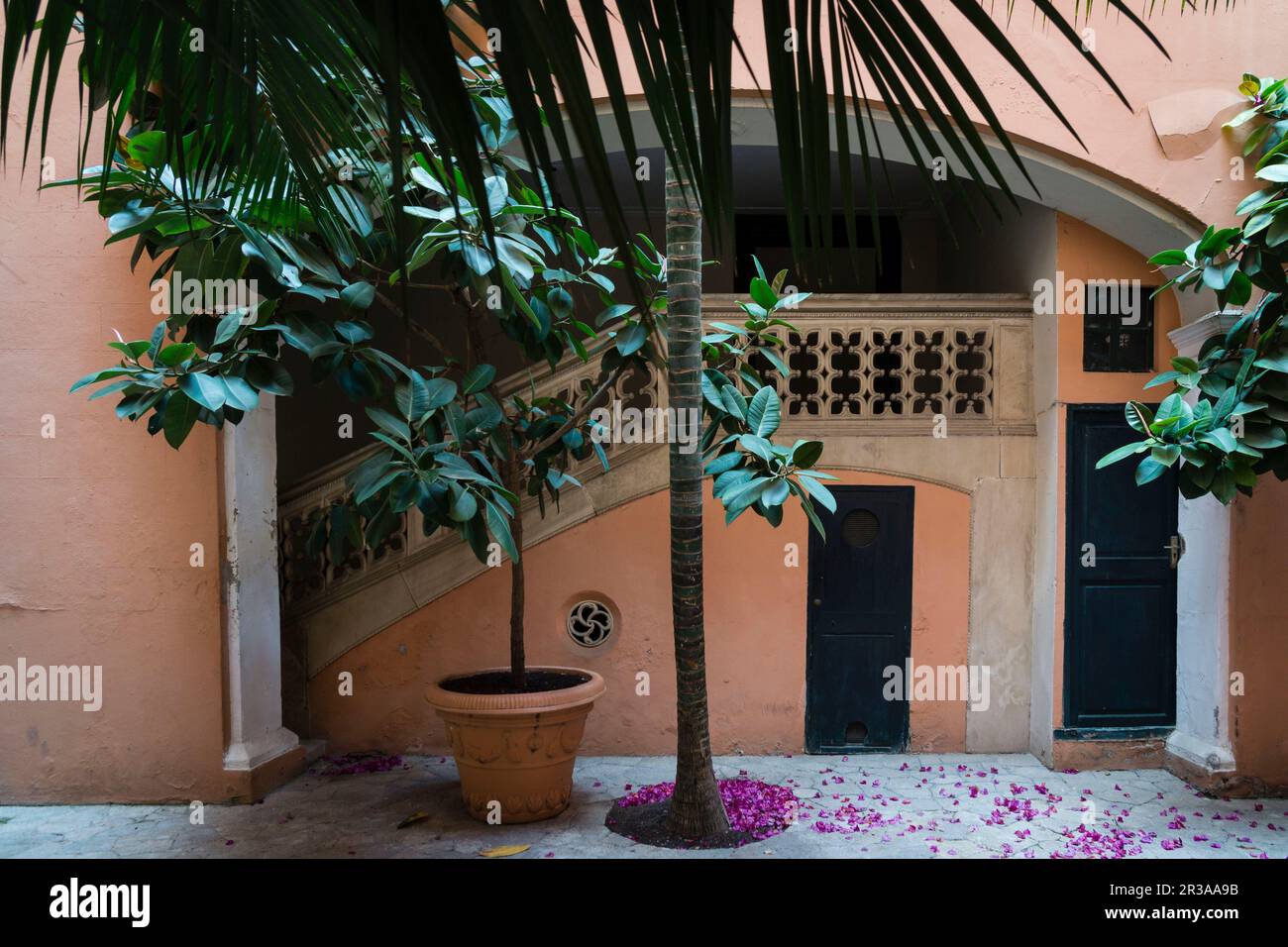 patio en el centro historico, Can Tacón, Mallorca, balearic islands ...
