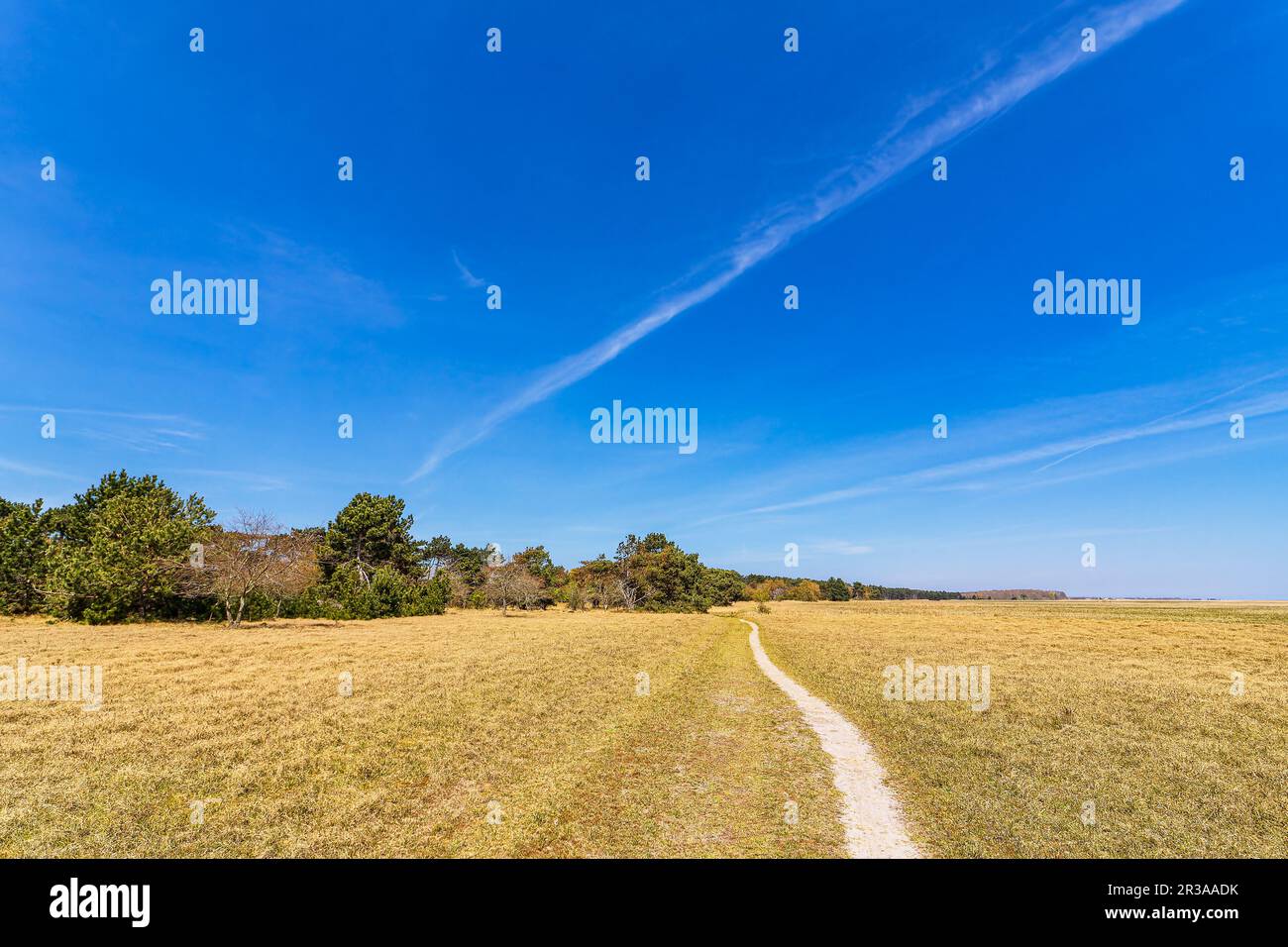 Landscape On The Gellen On The Island Of Hiddensee Stock Photo - Alamy