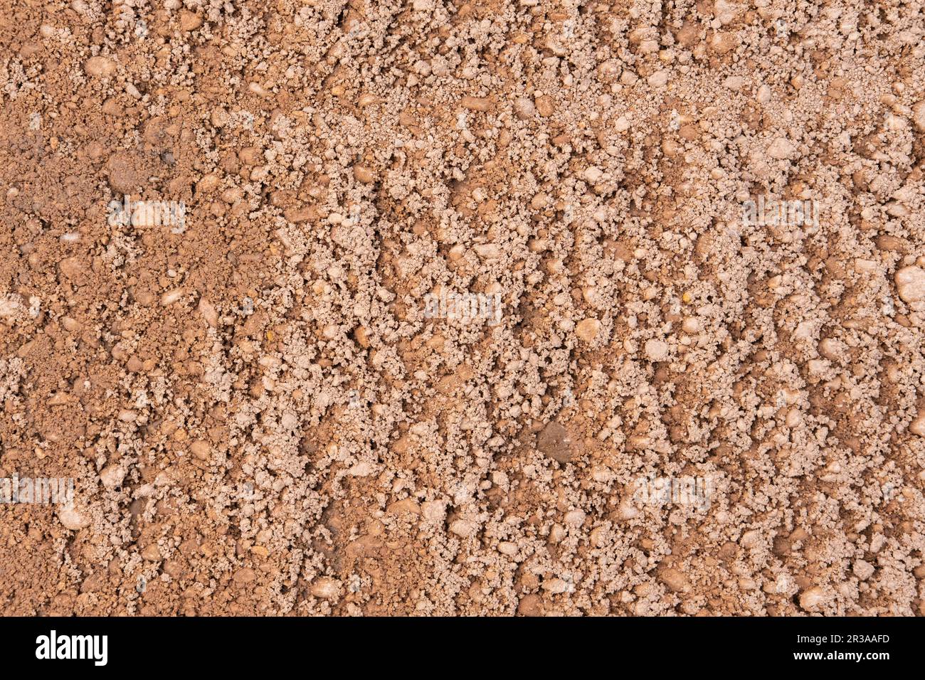 Dirt Path Texture Seamless