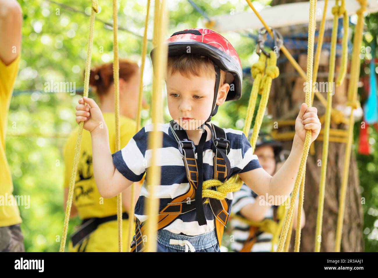 Kids climbing in adventure park. Boy enjoys climbing in the ropes ...
