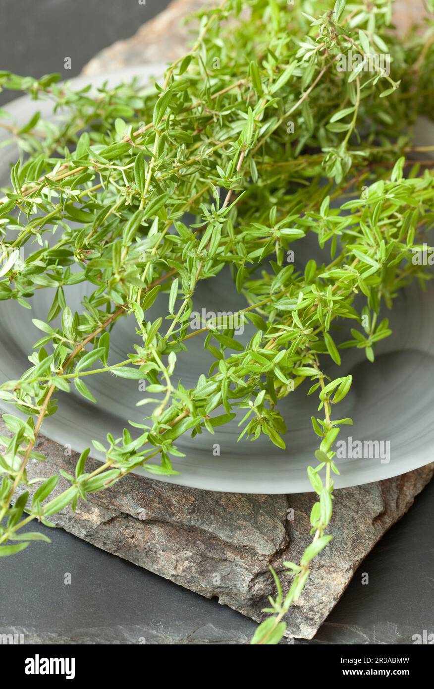 Summer savory hi-res stock photography and images - Alamy