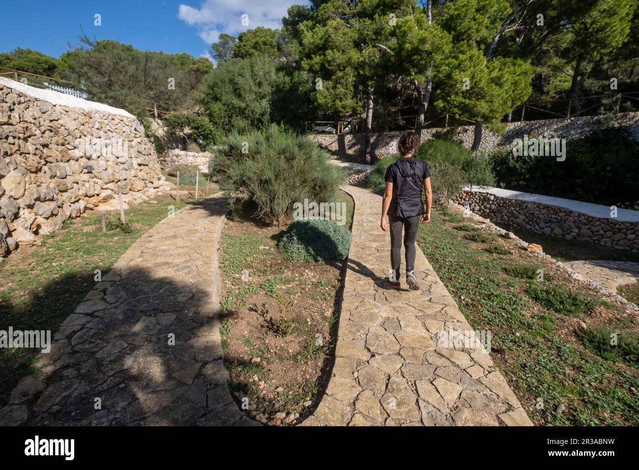 Mediterranean garden of native plants, Sa Dragonera natural park ...
