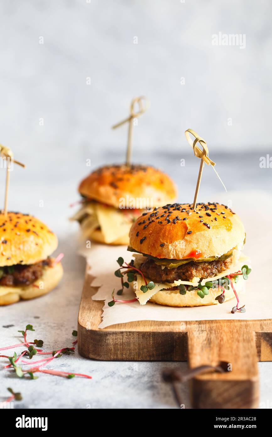 Homemade mini burgers with bamboo brochettes. Sandwiches with meat ...