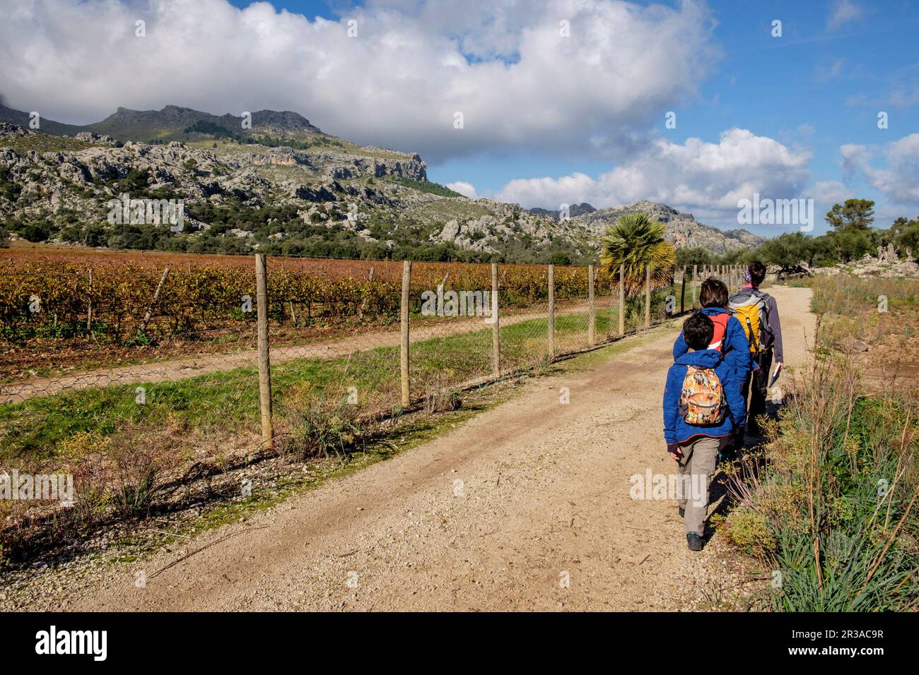 viñas Mortix, Escorca, Mallorca, balearic islands, Spain Stock Photo ...