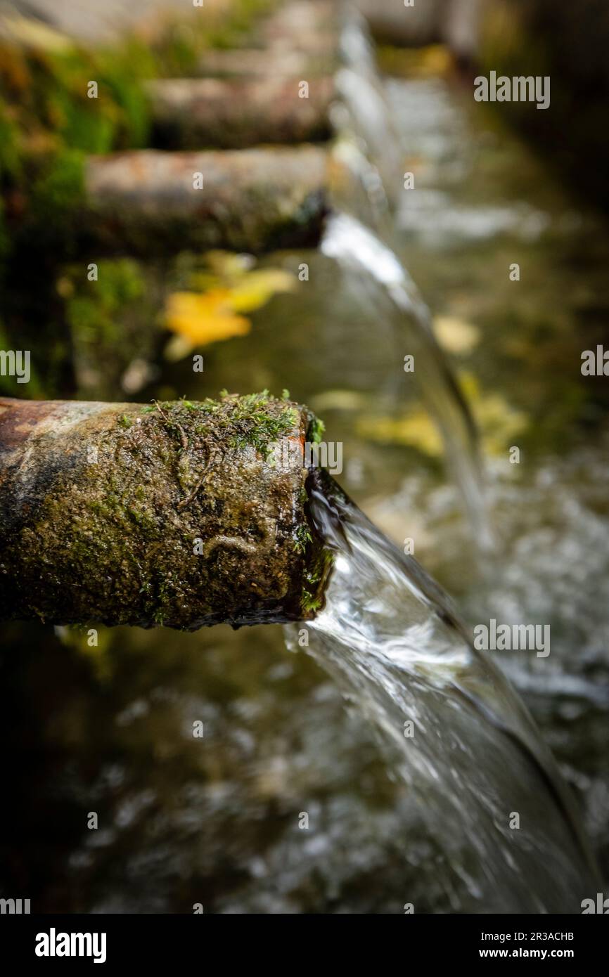 Sauca river hi-res stock photography and images - Alamy
