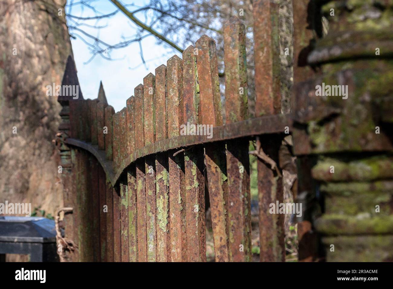 Old rusty metal railings with paint pealed of, Abington Park ...