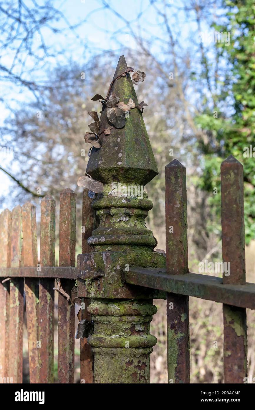 Old rusty metal railings with paint pealed of, Abington Park ...