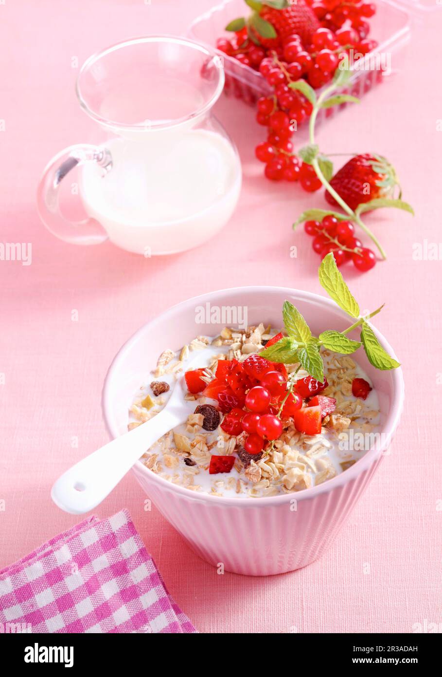 Bircher muesli with oats, red berries and milk Stock Photo - Alamy