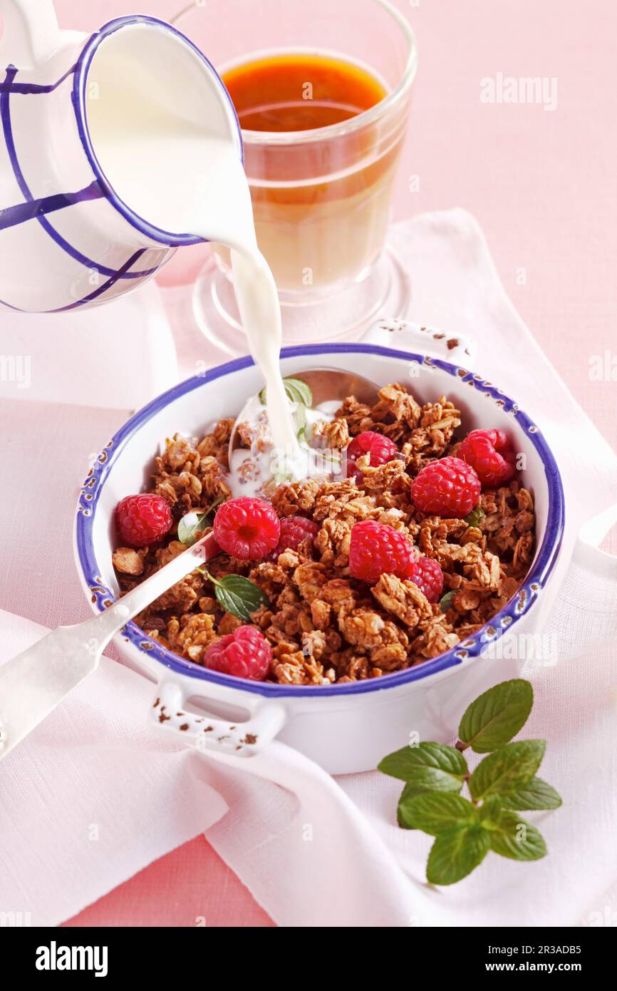 Chocolate muesli with raspberries, mint, yoghurt and milk Stock Photo ...
