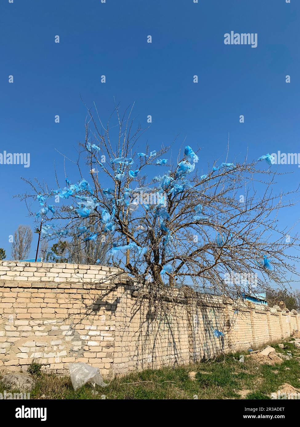 Plastic pollution tree hi-res stock photography and images - Alamy