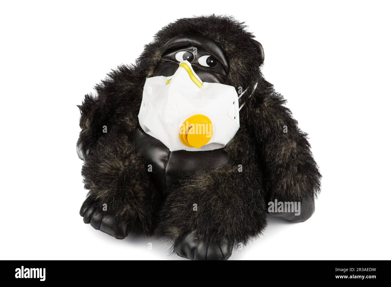 Black toy monkey in a protective mask isolated on a white background ...
