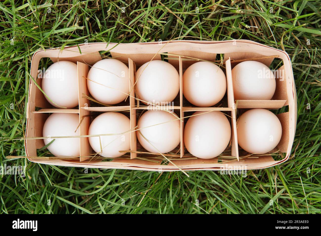 White box for chicken packaging packaging hi-res stock photography and ...