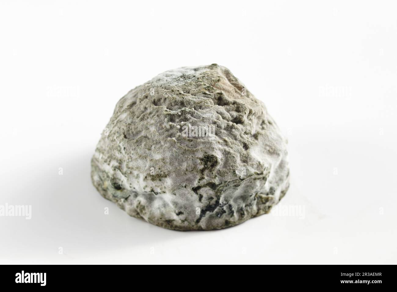 Blue brain egg (cow's milk cheese with blue mold, Switzerland Stock ...