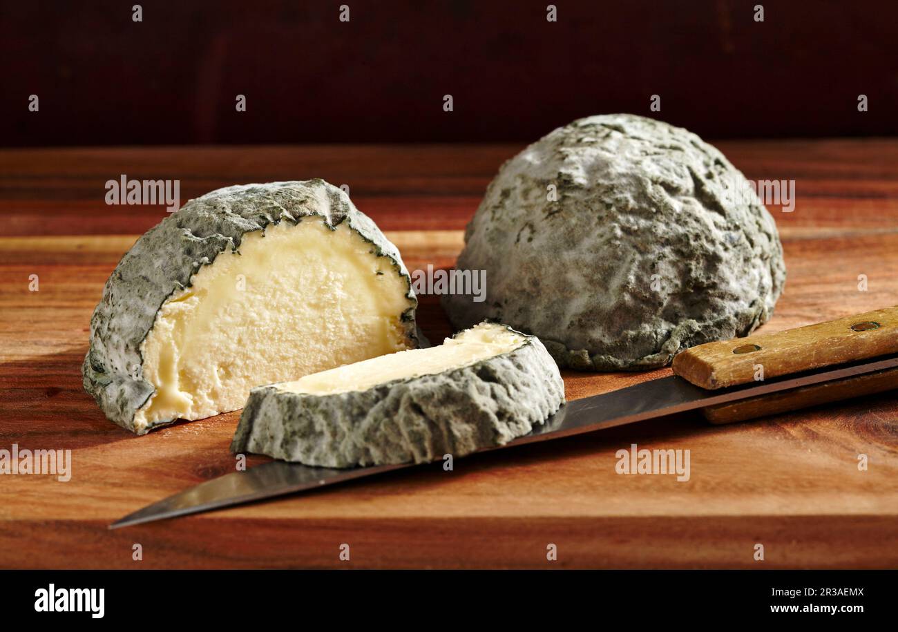 Blue brain egg (cow's milk cheese with blue mold, Switzerland Stock ...