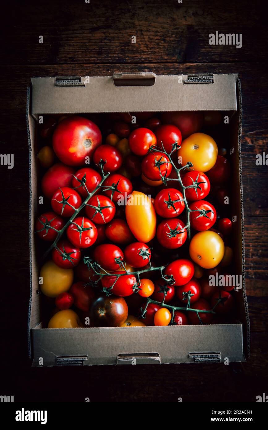 Tomato in a Box Stock Photo - Alamy