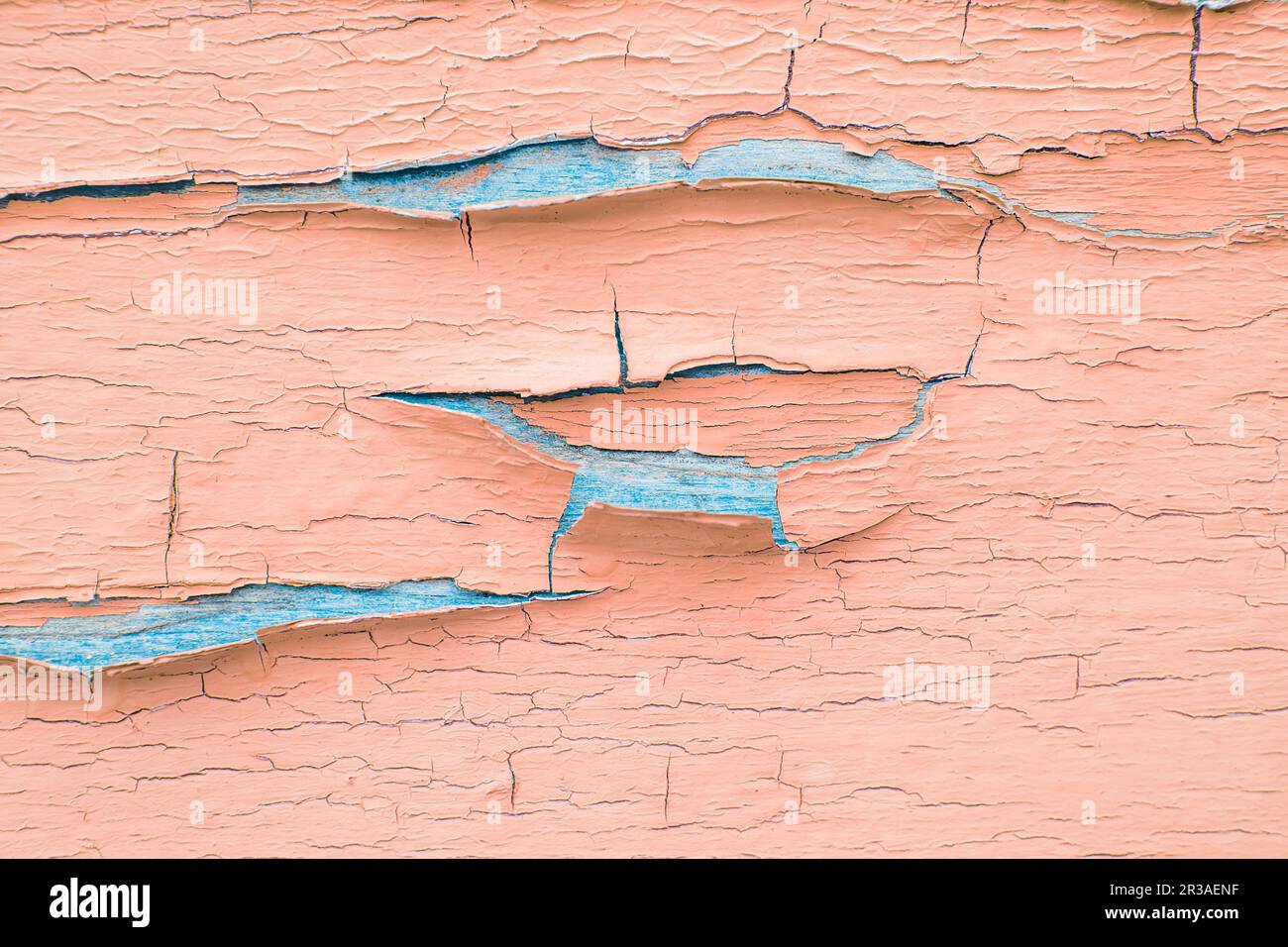 Cracking and peeling pink paint on a wall. Vintage wood background with ...