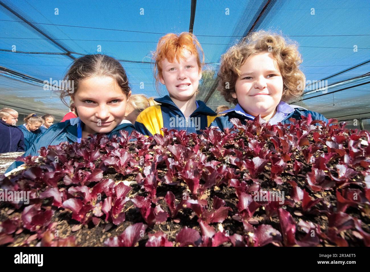 School children learning about agriculture and farming Stock Photo - Alamy