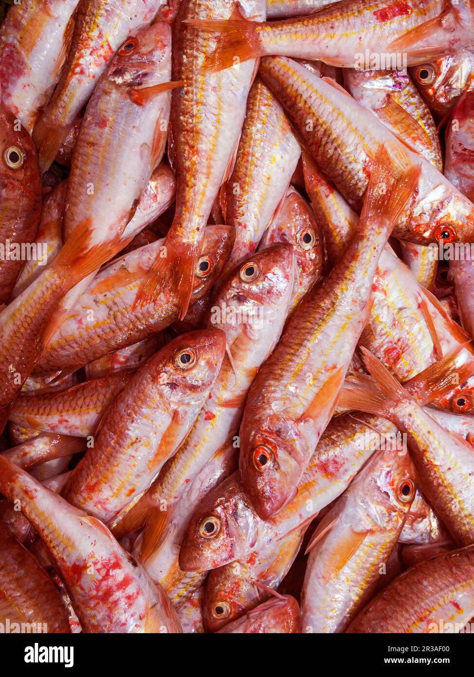 Red mullet at a fish market (full screen Stock Photo - Alamy