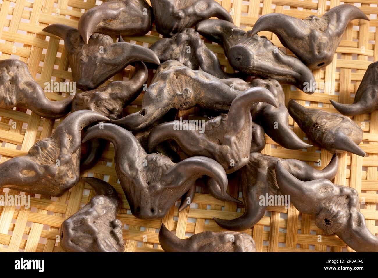 Chinese water nuts Stock Photo - Alamy